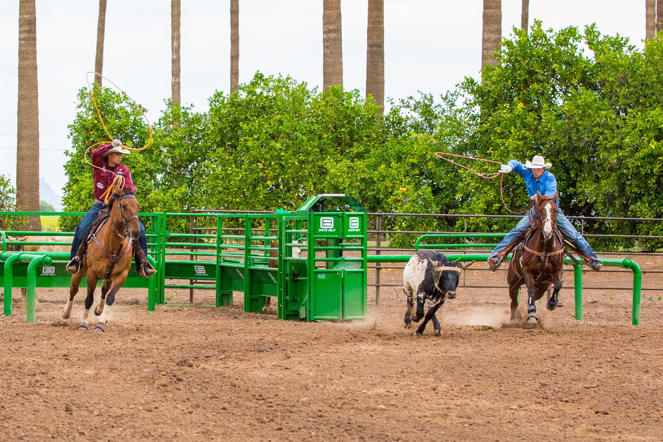 Roping Chutes – Seven Peaks Fence and Barn