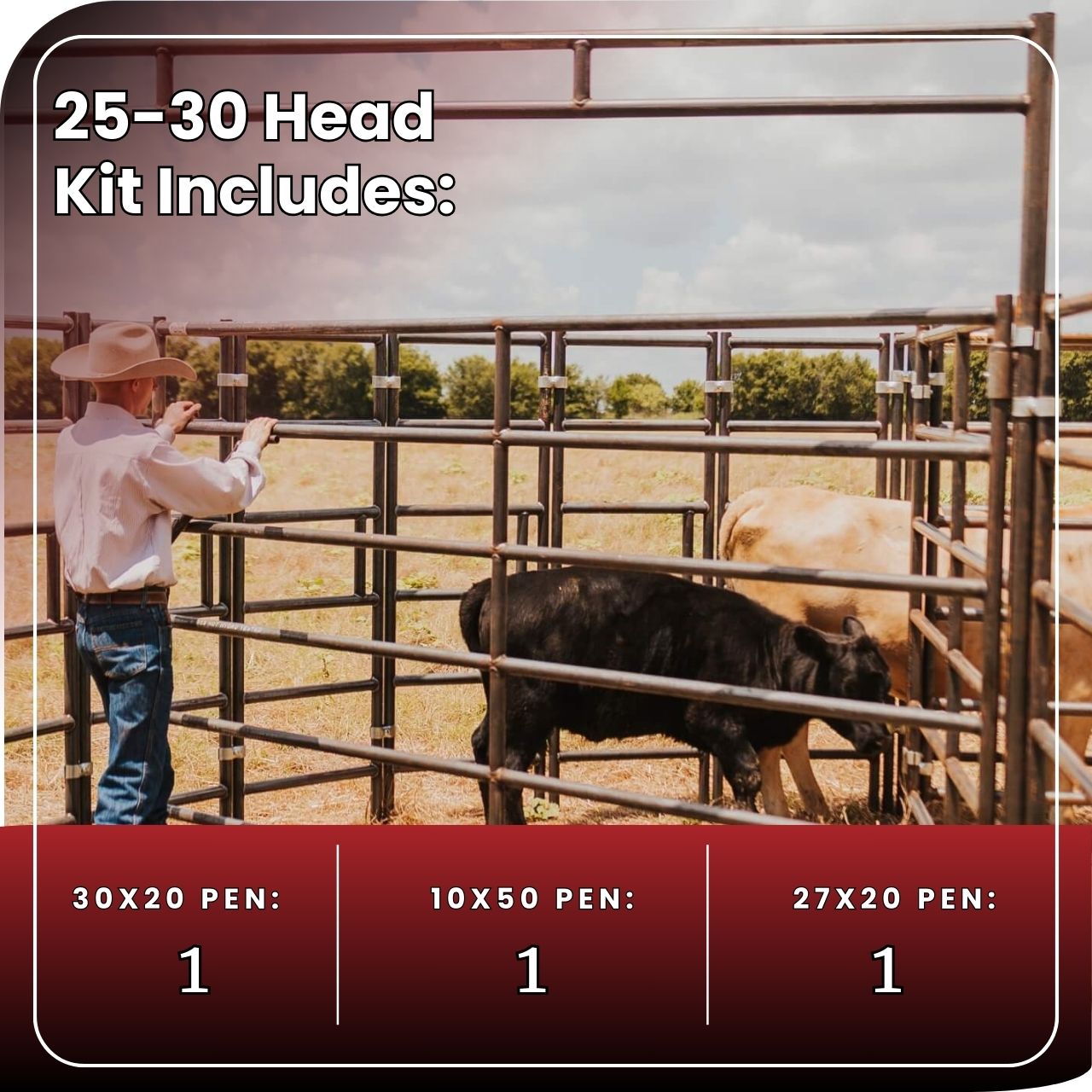 25-30 Head Cattle Working System-Heavy-Duty Corral Pannels – Seven ...