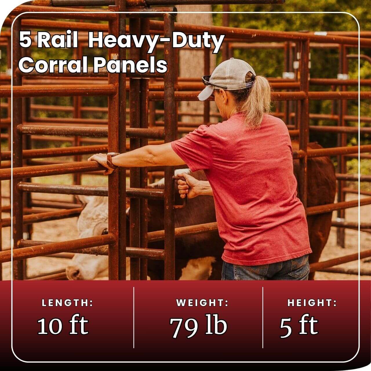 25-30 Head Cattle Working System-Heavy-Duty Corral Pannels – Seven ...