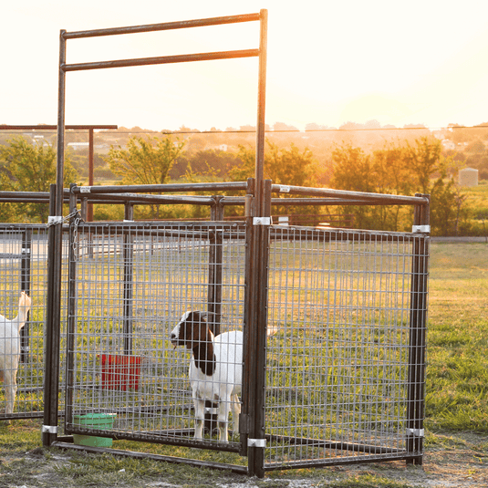 Walk-Thru Livestock Gate | Heavy-Duty Welded Wire Bow Gates – Seven ...
