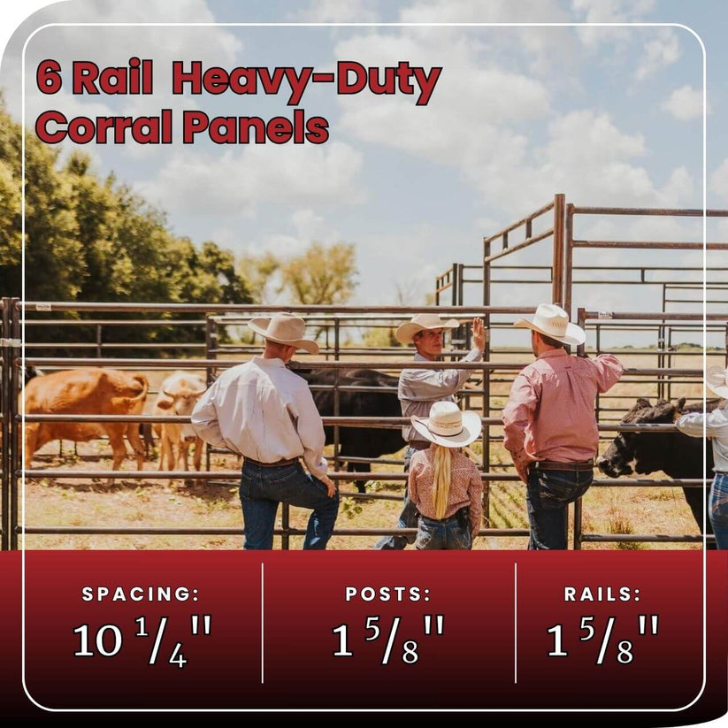 25-30 Head Cattle Working System-Heavy-Duty Corral Pannels – Seven ...