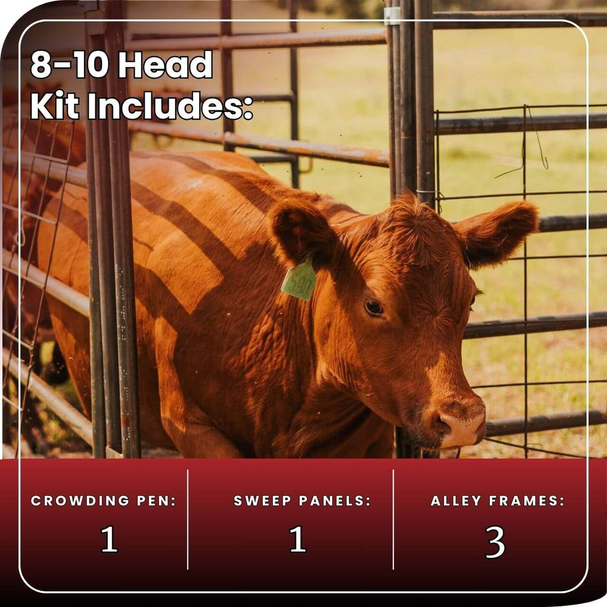 8-10 Head Cattle System | 90° Sweep, Alley & 2 Pens – Seven Peaks Fence ...