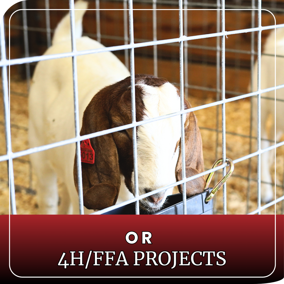20x20 Livestock Pen Kit | Small & Large Livestock Panel Options – Seven ...