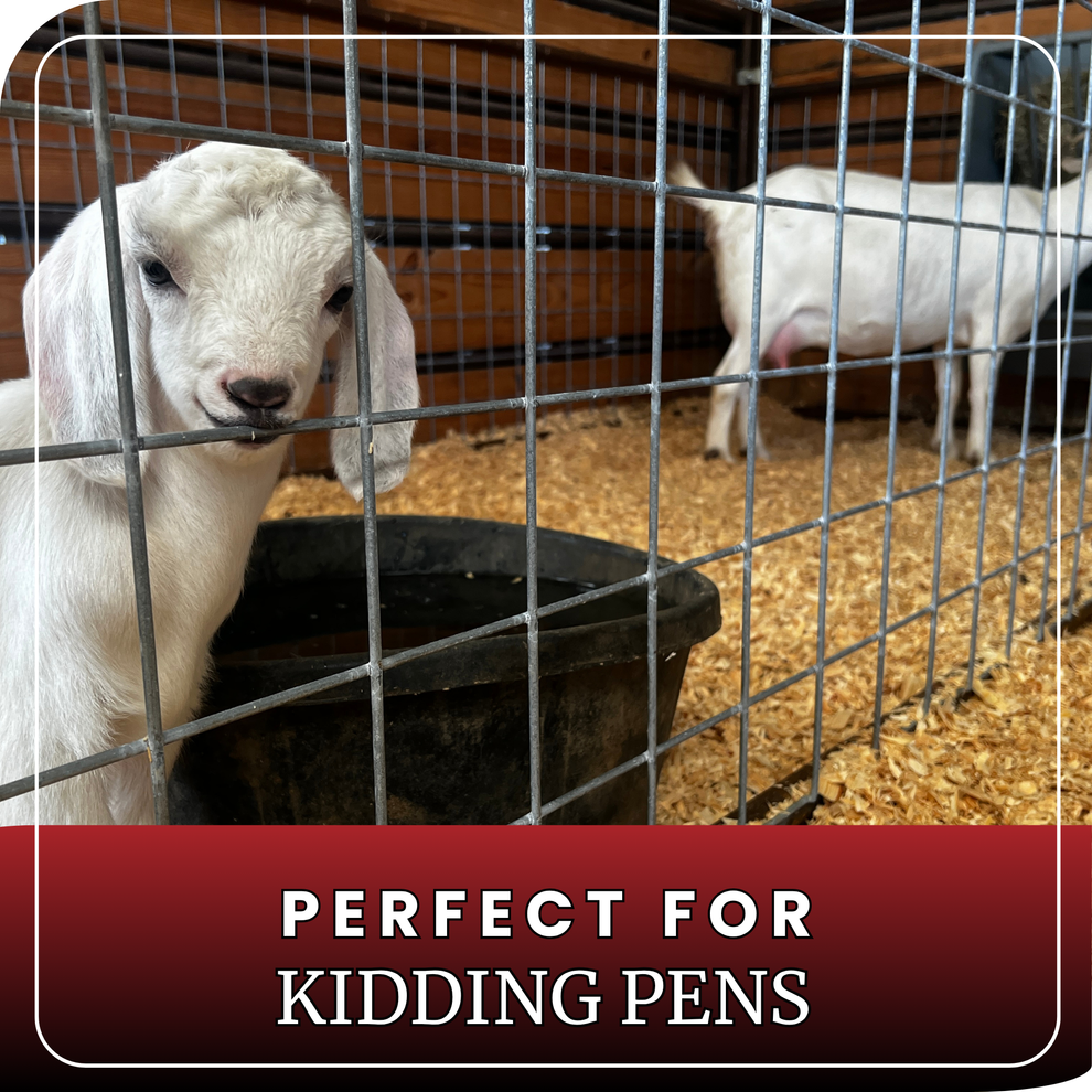 20x20 Livestock Pen Kit | Small & Large Livestock Panel Options – Seven ...