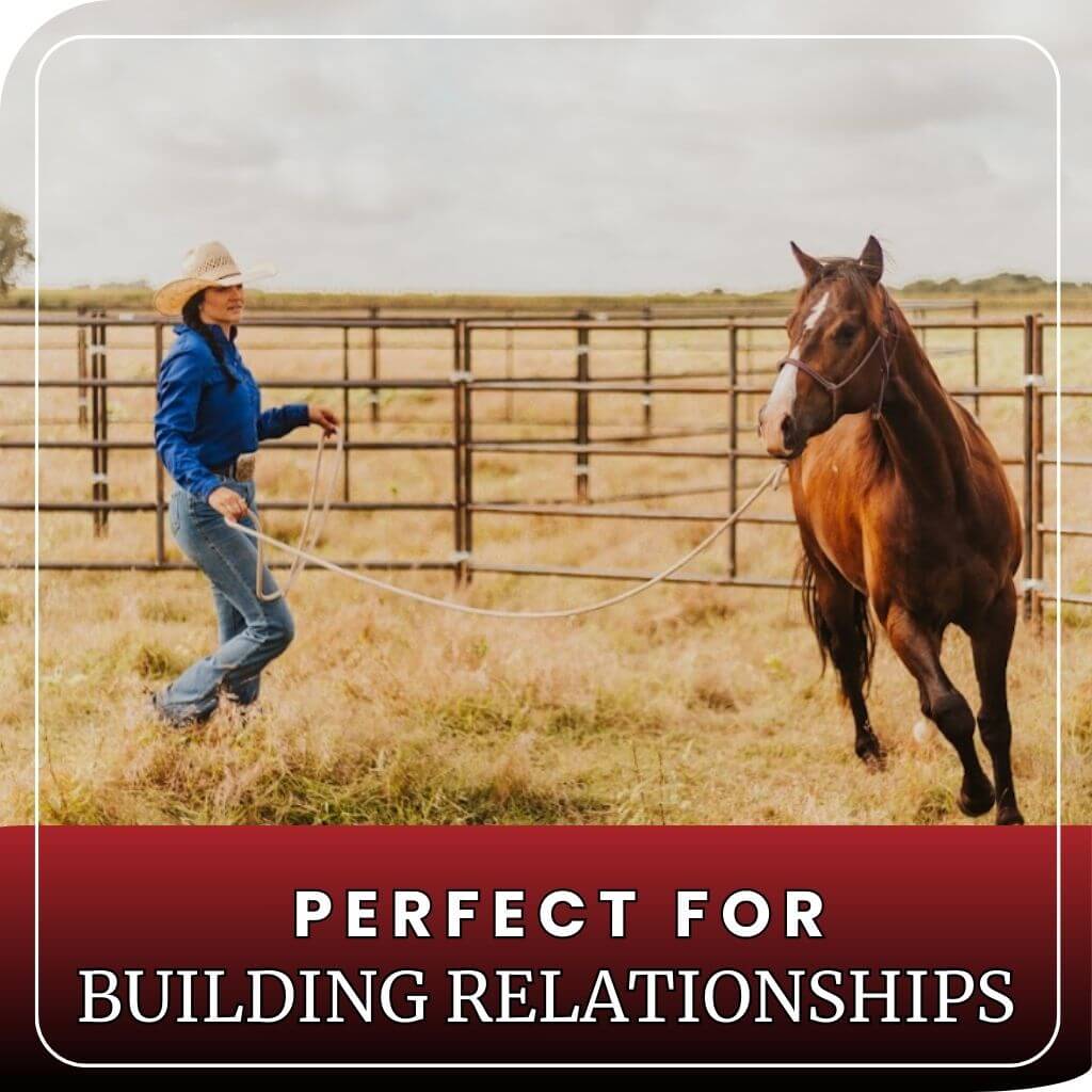 60 Ft Round Pen With 14 Gauge Metal Horse Panels and 4'9" Gate – Seven ...