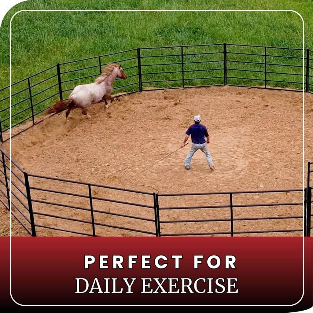 60 Ft Round Pen With 14 Gauge Metal Horse Panels and 4'9" Gate – Seven ...